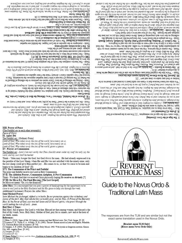 Novus Ordo vs. Traditional Latin Mass Guide | PDF | Eucharist | Mass ...
