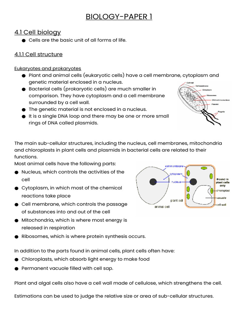 Cell Biology Overview for AQA Paper 1 | PDF | Cellular Respiration | Heart