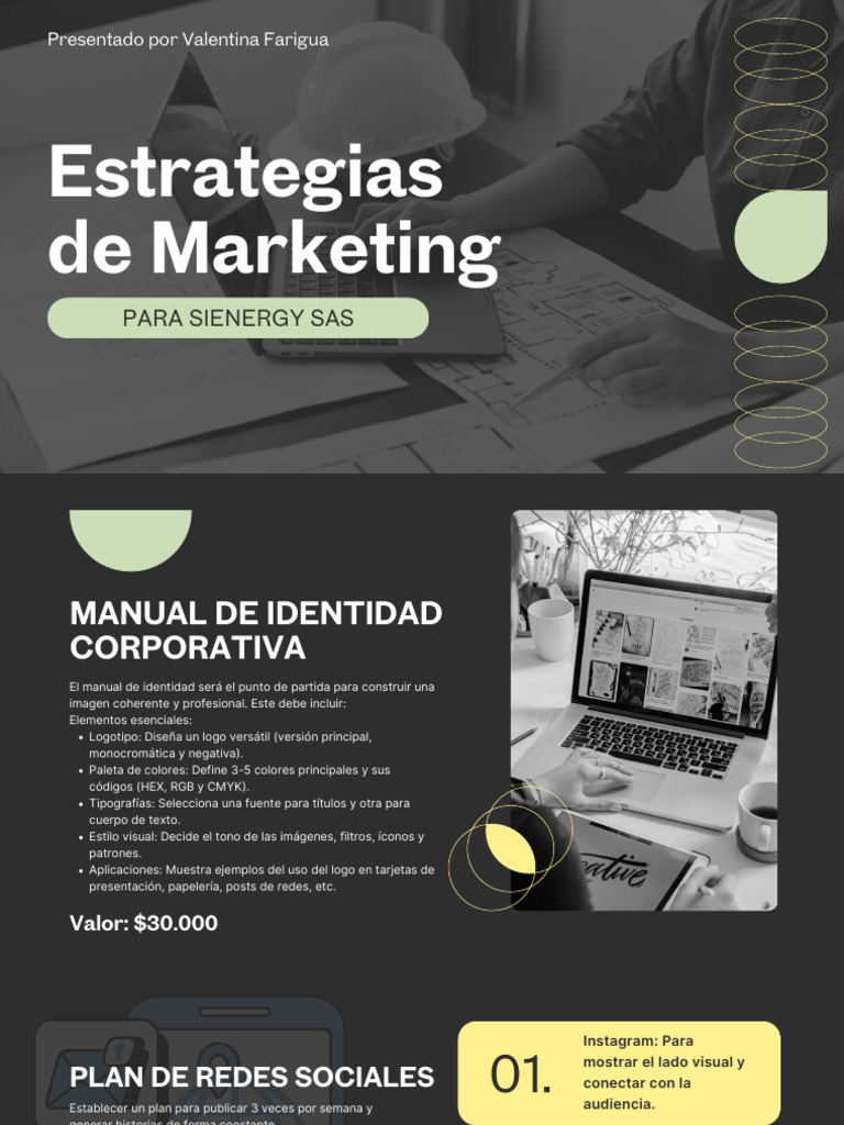 Estrategias de Marketing para Sienergy | PDF | Marketing