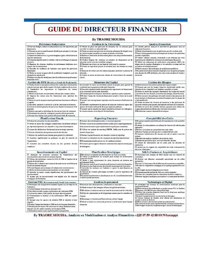 Guide Du Directeur Financier | PDF
