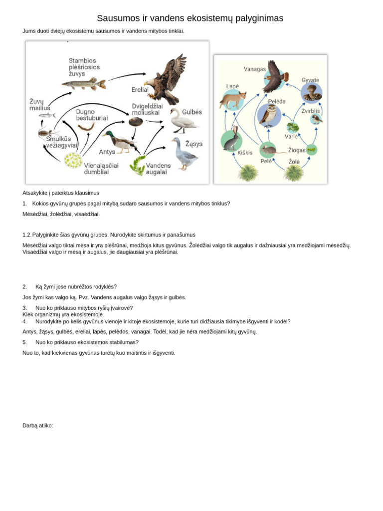 Mitybos Tinklai | PDF