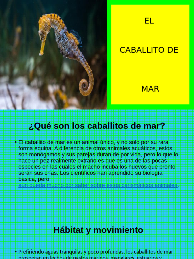 Caballitos de mar: hábitat y reproducción | PDF