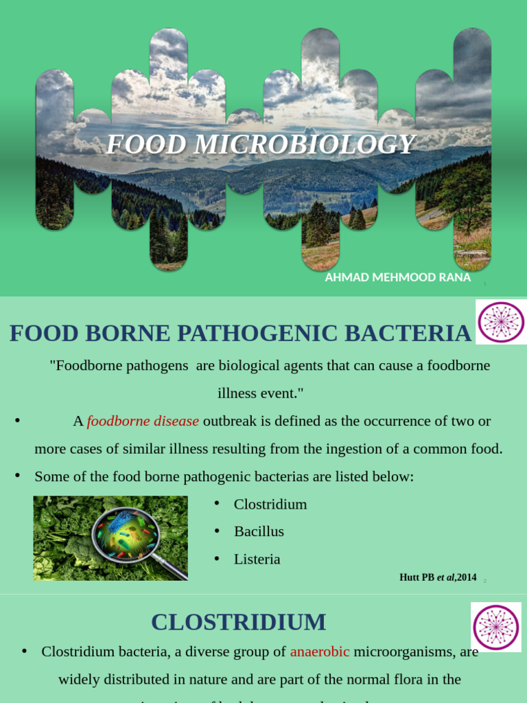 food borne illness | PDF | Foodborne Illness | Bacillus