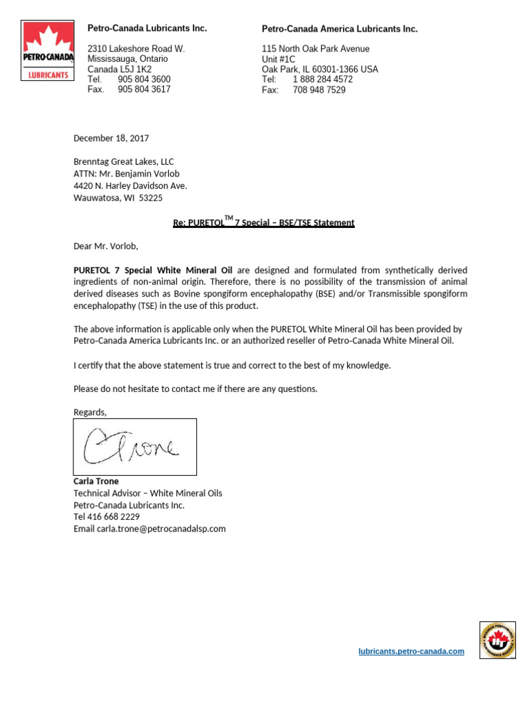 BSE TSE Statement | PDF