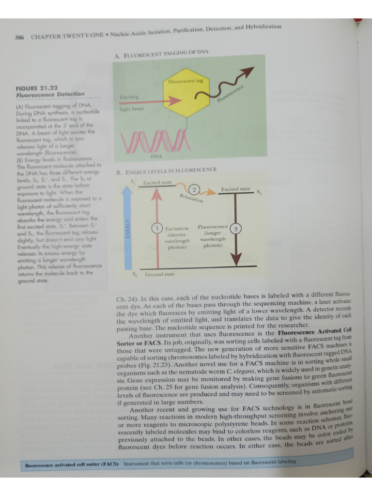 FACS and Chemical Tagging | PDF