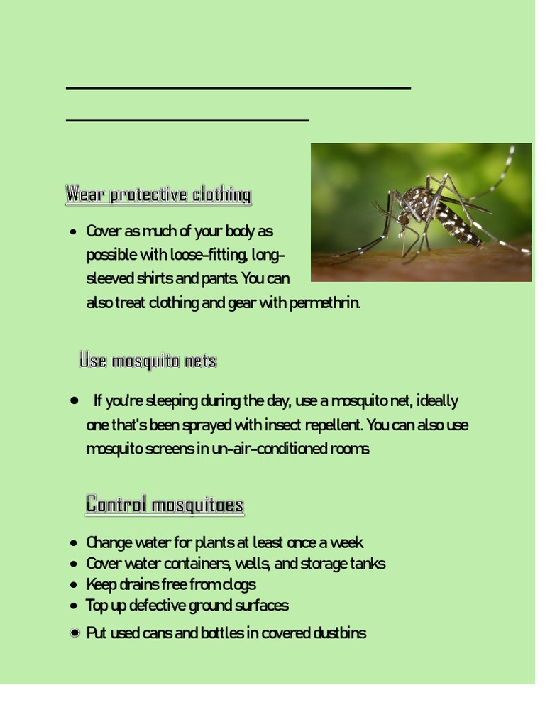 Tips To Prevent Dengue From Mosquitos | PDF