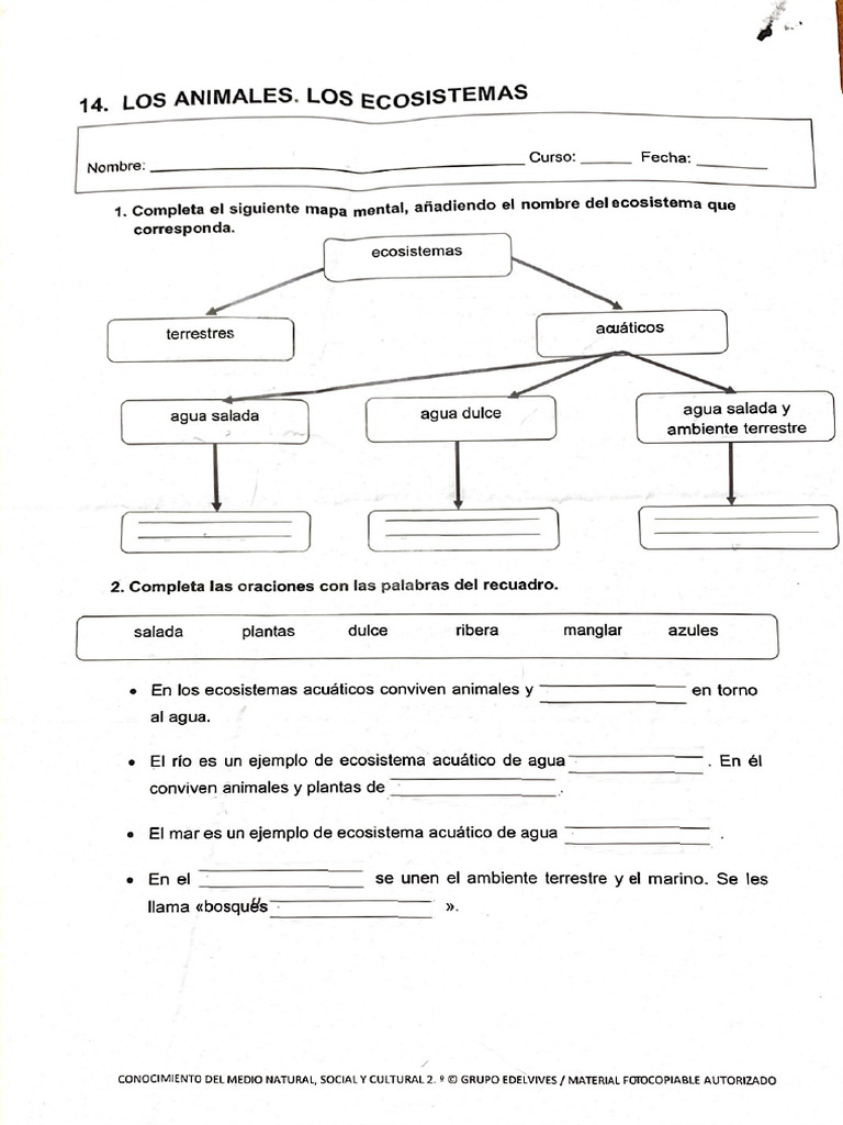 Animales Ecosistemas | PDF