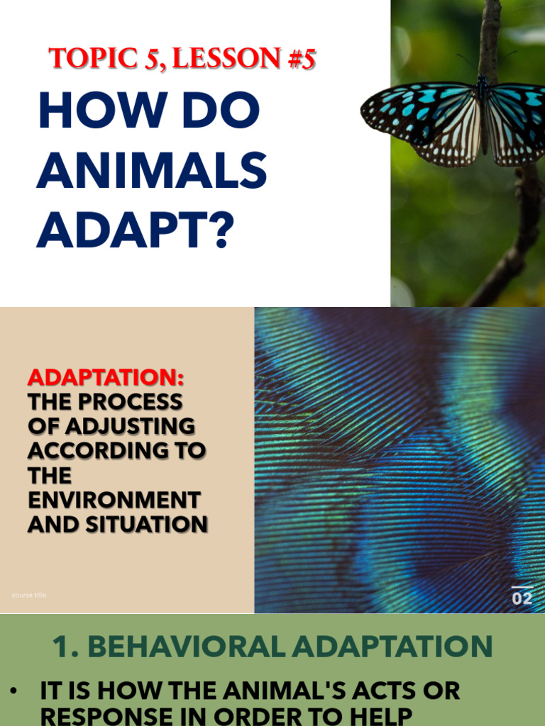 TOPIC 5, LESSON #5 (How Do Animals Adapt) | PDF