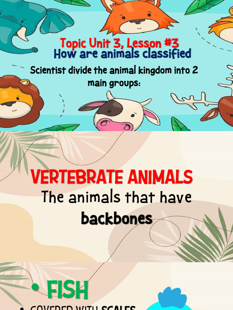 TOPIC 3, LESSON #3 (How Are Animals Classified) | PDF