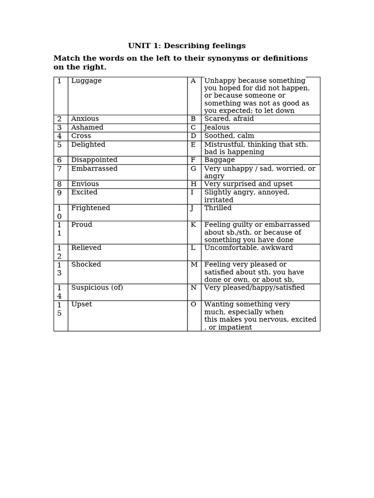 Unit 1 Describing Feelings | PDF
