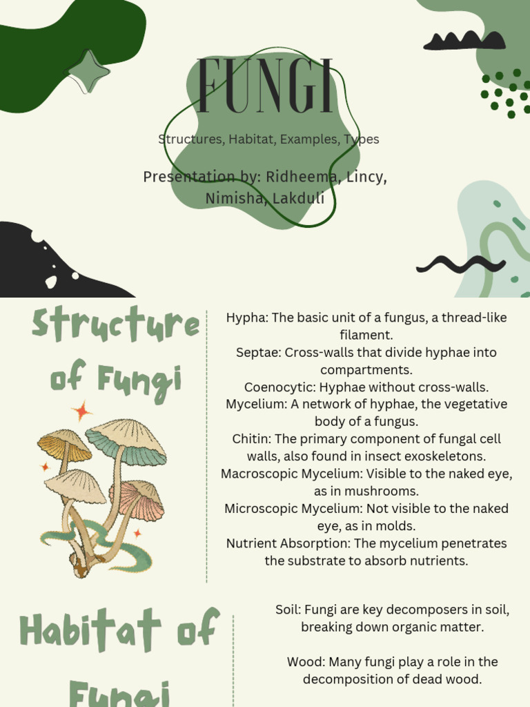 Fungi PDF | PDF