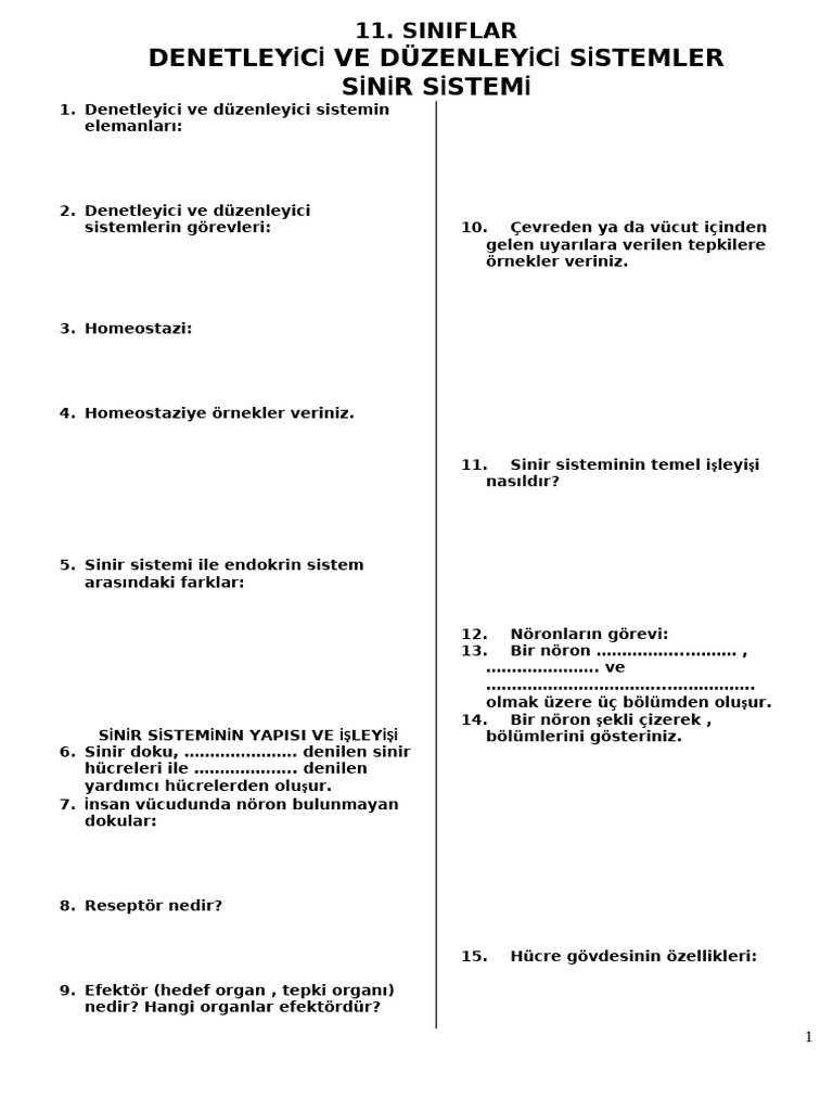 çalışma soruları denetleme ve düzenleme | PDF çalışma soruları denetleme ve düzenleme | PDF