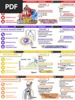 ANTALGEX T 37.5 Mg-325 MG Capsules - Tramadol Hydrochloride 37.5 MG and ...