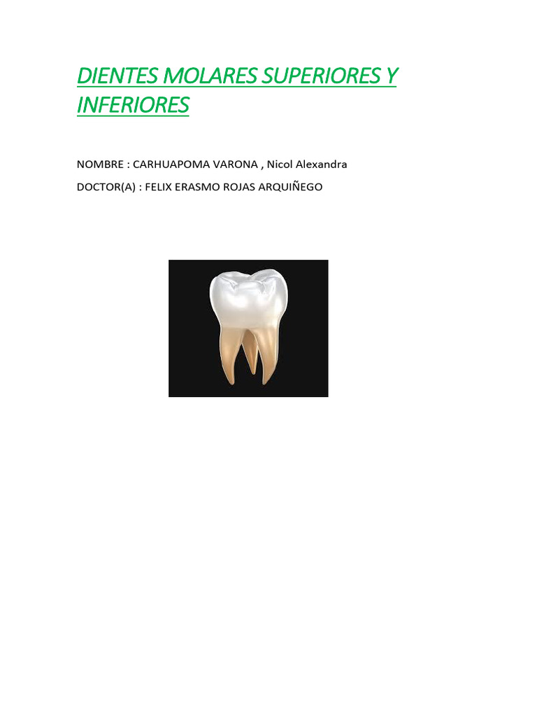 Dientes Molares Superiores y Inferiores | PDF