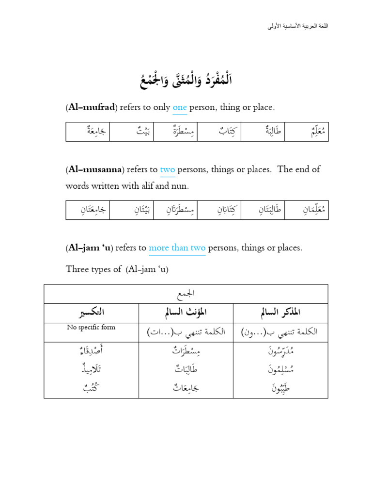 Exercise - Mufrad Musanna and Jamak | PDF