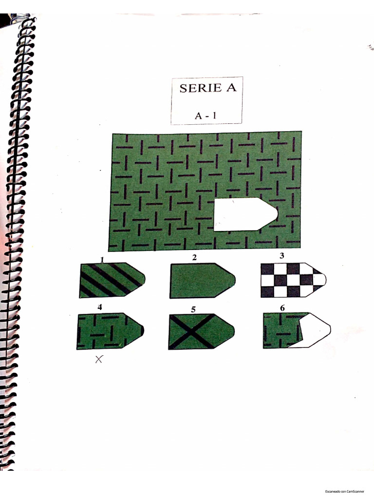 Test de Matrices JC Raven | PDF