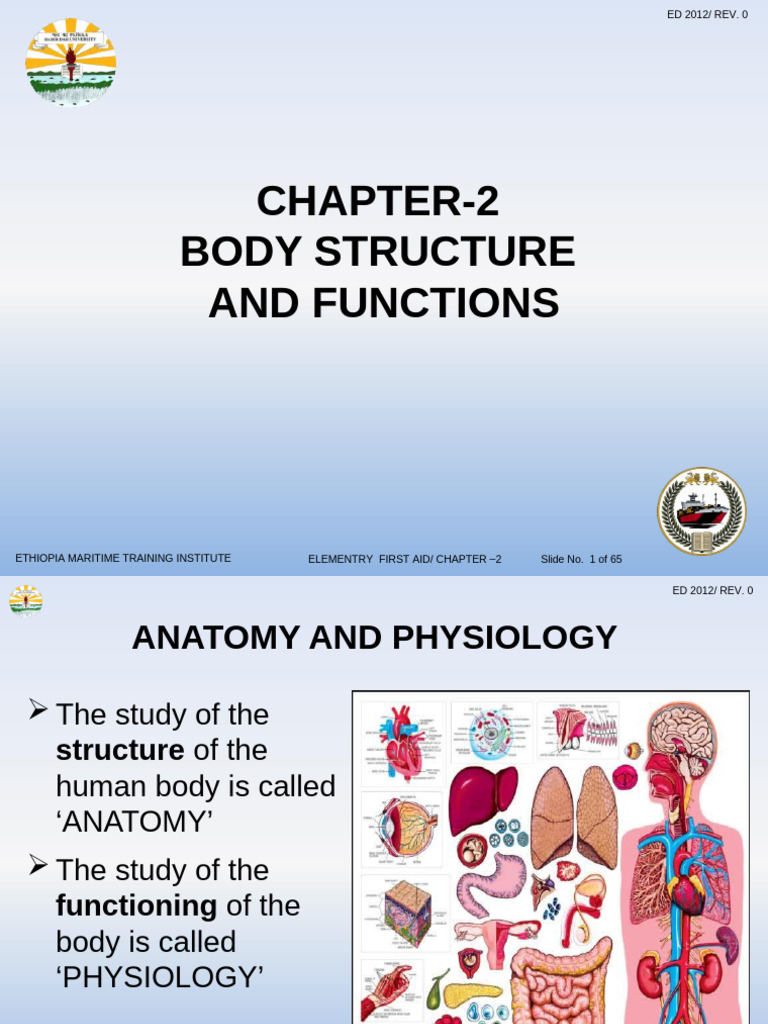 Anatomy and Physiology Basics | PDF | Respiratory System | Blood