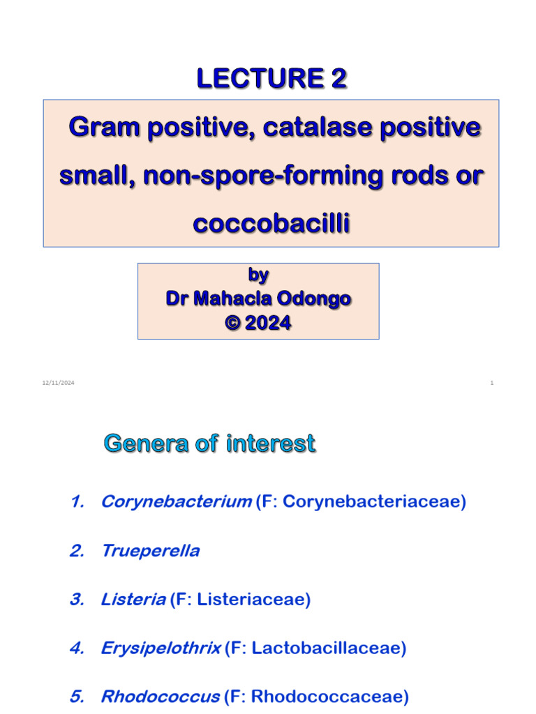 Gram Positive, Catalase Positive Small Rods or Coccobacilli2024 | PDF