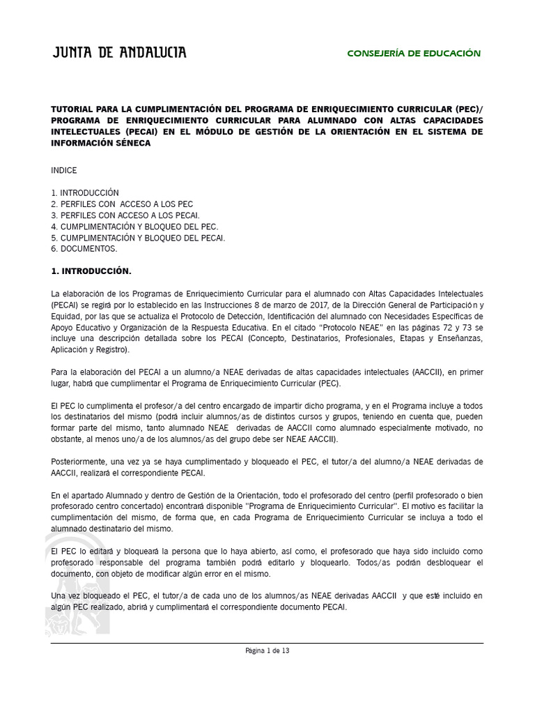 Tutorial Cumplimentacion ProgramaEnriquecimientoCurricular PECAI | PDF | Maestros | Plan de estudios