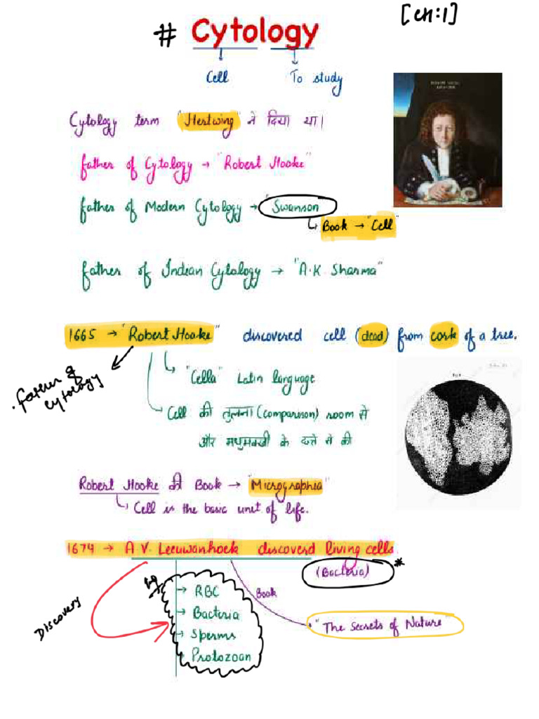 Cytology | PDF