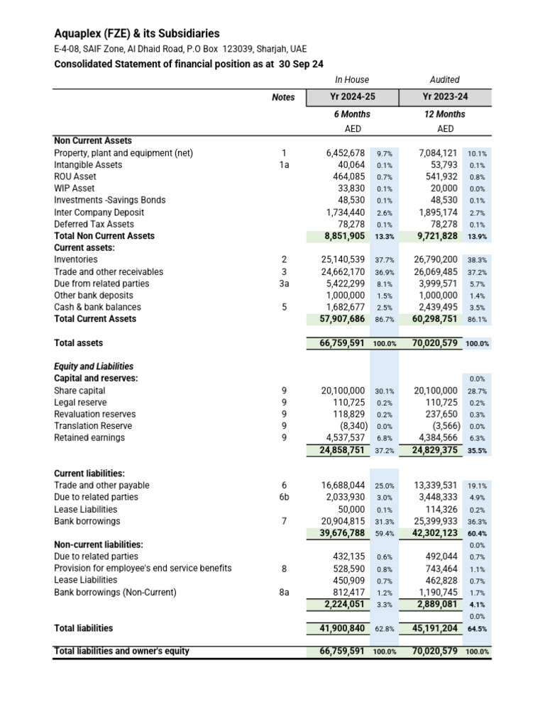 AQPFZE_CONS_SEP24_BS | PDF | Balance Sheet | Economies