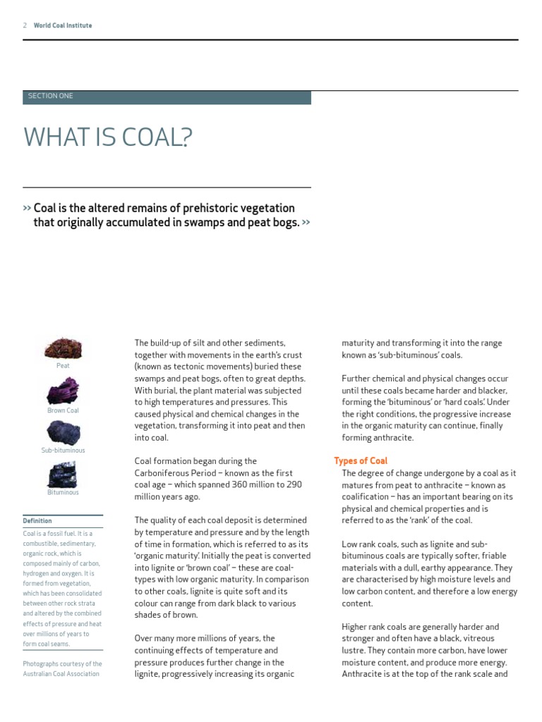 Overview of Coal Formation and Types | PDF