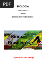 Capa Trabalho Ciencias Bioma Brasileiro | PDF