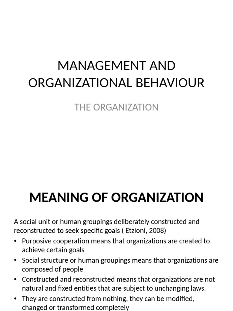 The Organization. in Business | PDF | Goal | Metaphor