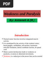 Pyramidal Weakness. Practical Neurology | PDF | Anatomical Terms Of ...