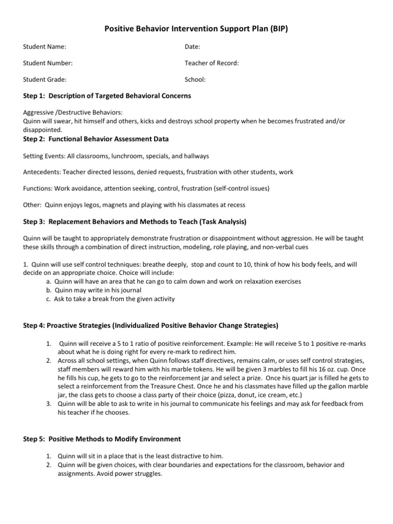Positive Behavior Intervention Support Plan