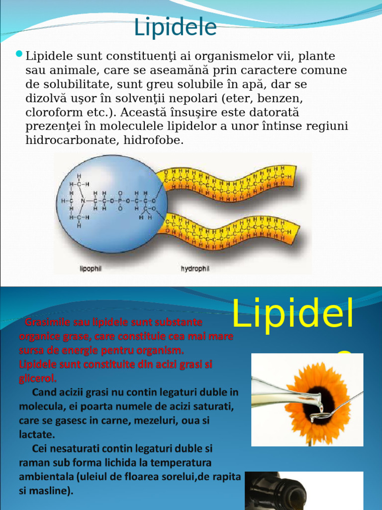 Lipide | PDF