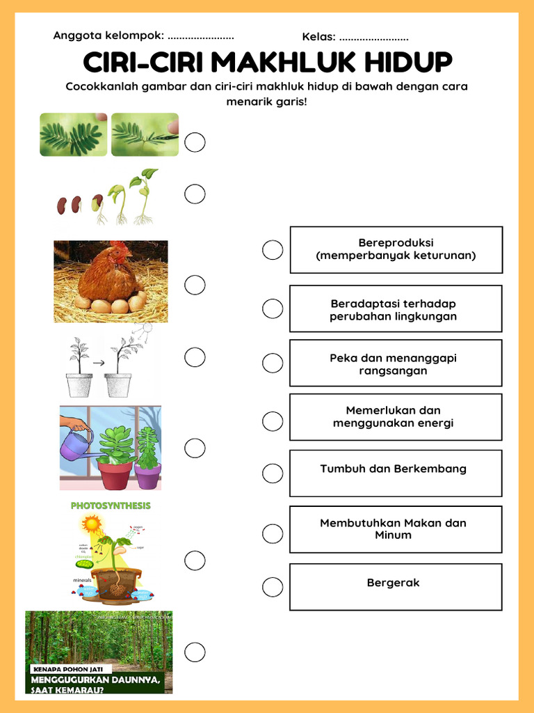 Ciri-Ciri Makhluk Hidup Kelas 7 | PDF
