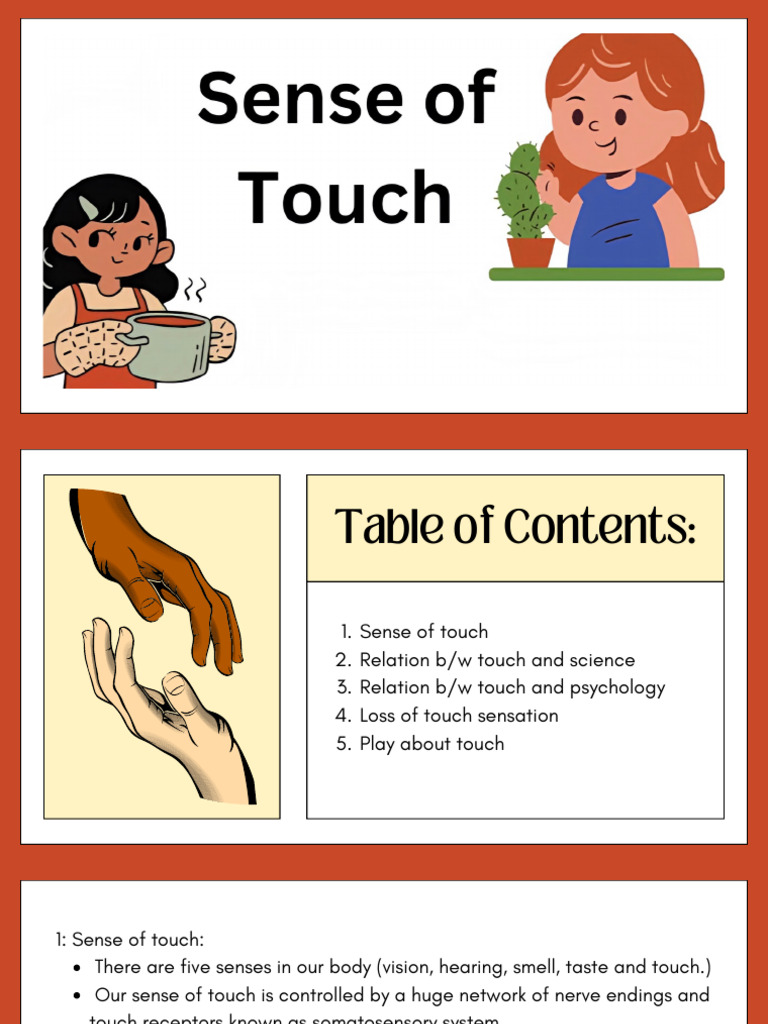 Sense-of-touch | PDF | Senses | Somatosensory System