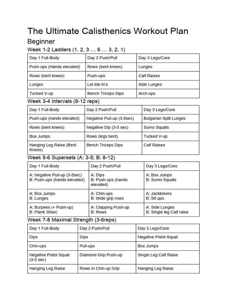 The Ultimate Calisthenics Workout Plan | PDF | Strength Training | Physical Fitness