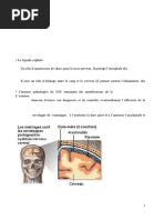 Analyse et Prélèvement du LCR | PDF | Liquide cérébro-spinal | Médecine ...