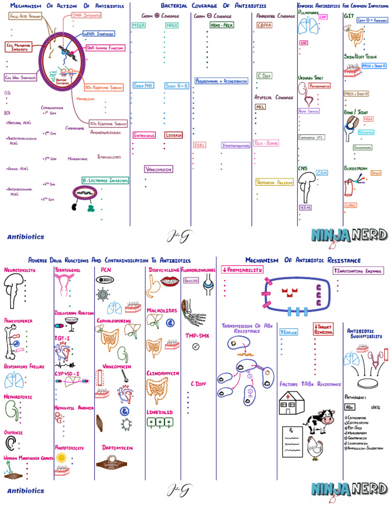 Microbiology Pharmacology - 005) Antibiotics (Illustrations - Handout) | PDF