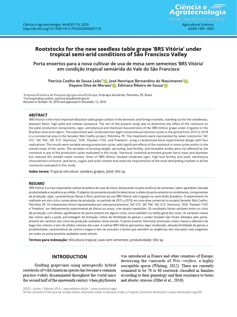 Rootstocks For The New Seedless Table Grape BRS Vitória' Under Tropical ...