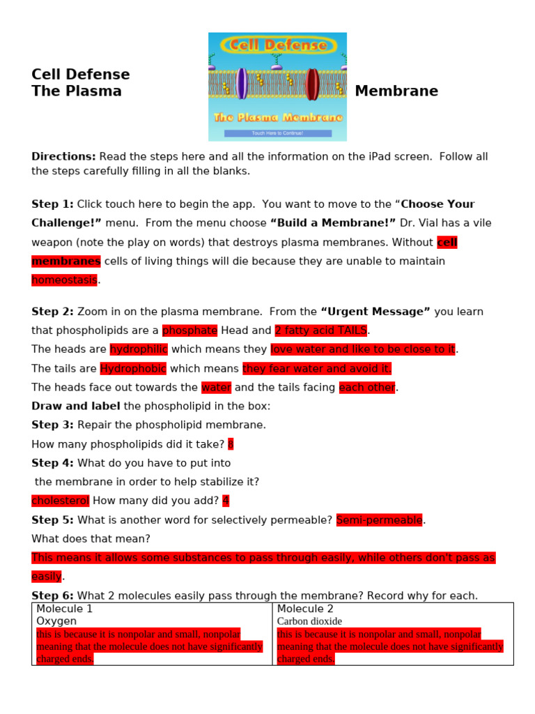 cell_defense_worksheet-1 | PDF | Cell Membrane | Lipid Bilayer