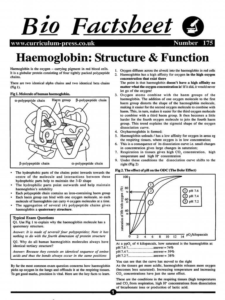 Haemoglobin - Structure and Function - 1 | PDF