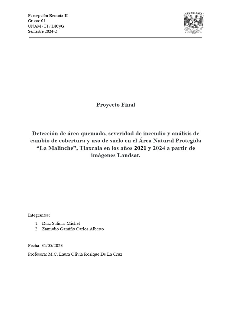 ProyectoFinal Diaz Zamudio | PDF | Fuego fatuo | Incendios