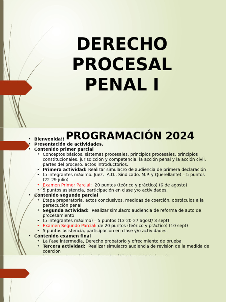 Contenido DPP1 6o.semestre año 2024 | PDF | Derecho penal | Ley procesal