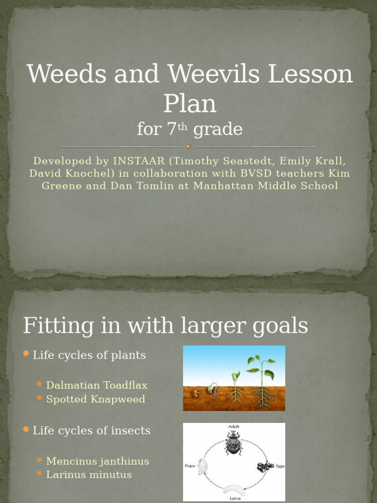Weeds Weevils Introduction to Unit | PDF | Invasive Species | Weed