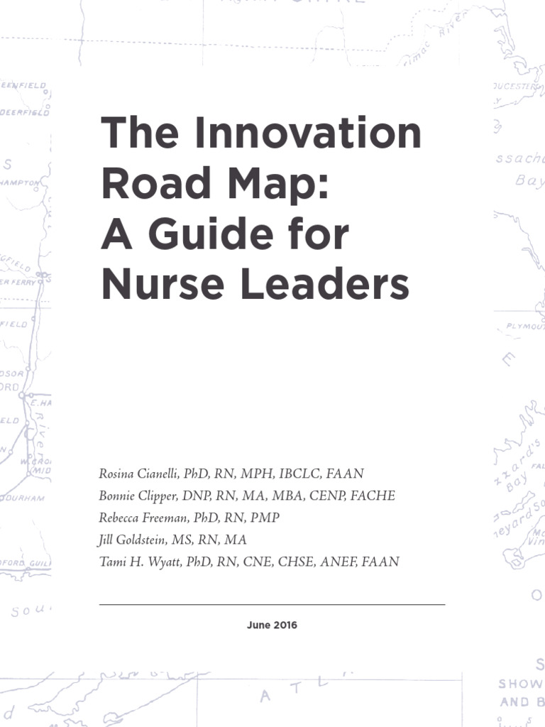 Innovations Roadmap English | PDF | Innovation | Nursing
