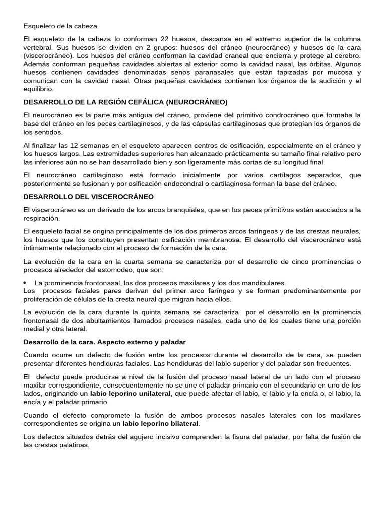 Estructura y Desarrollo del Cráneo Humano | PDF | Cráneo | Articulación
