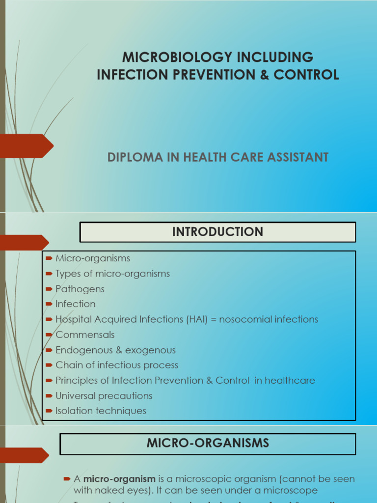 Infection Prevention in Microbiology | PDF | Personal Protective ...