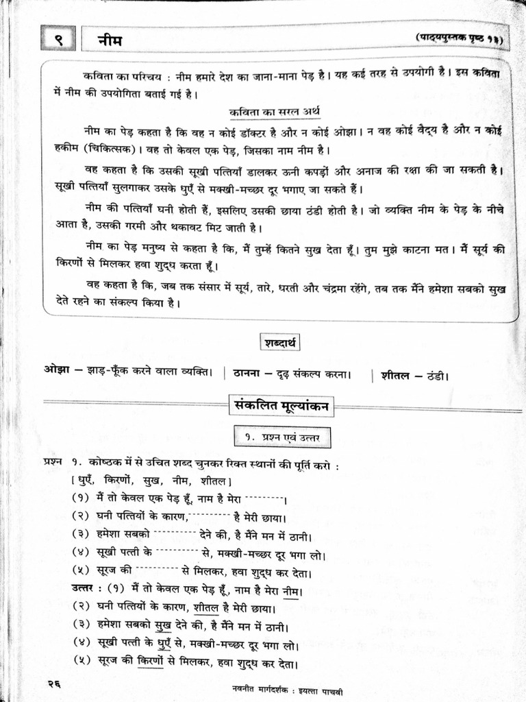 5th Hindi Lesson 9 | PDF