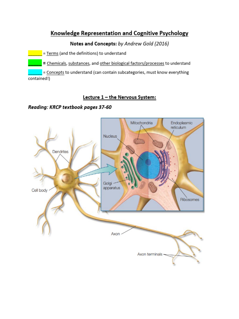 Cognitivite Neuroscience Resume | PDF | Chemical Synapse | Inhibitory ...