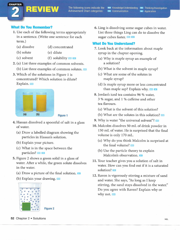 GR 7 Science - Chapter 2 Review - Solutions | PDF