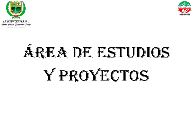 Área de Estudios y Proyectos | PDF