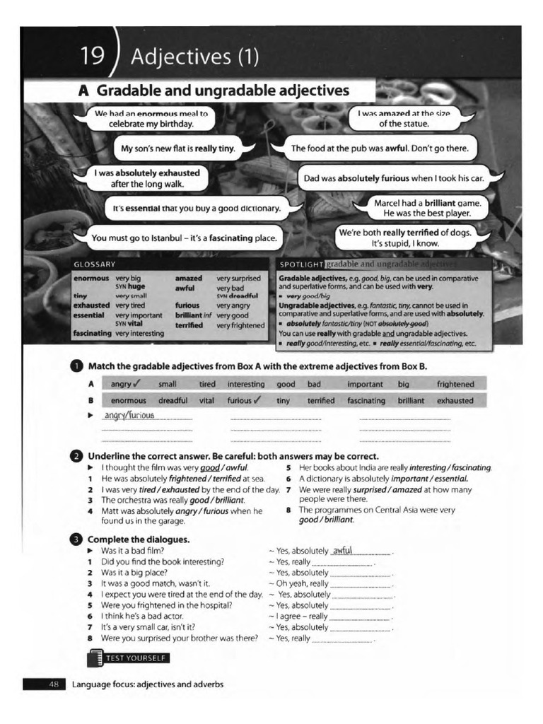 Kami Export - Adjectives 19 and 20 | PDF | Adjective | Linguistic Typology